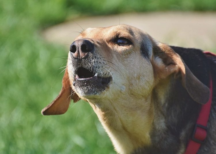 Strona Główna - Radio5